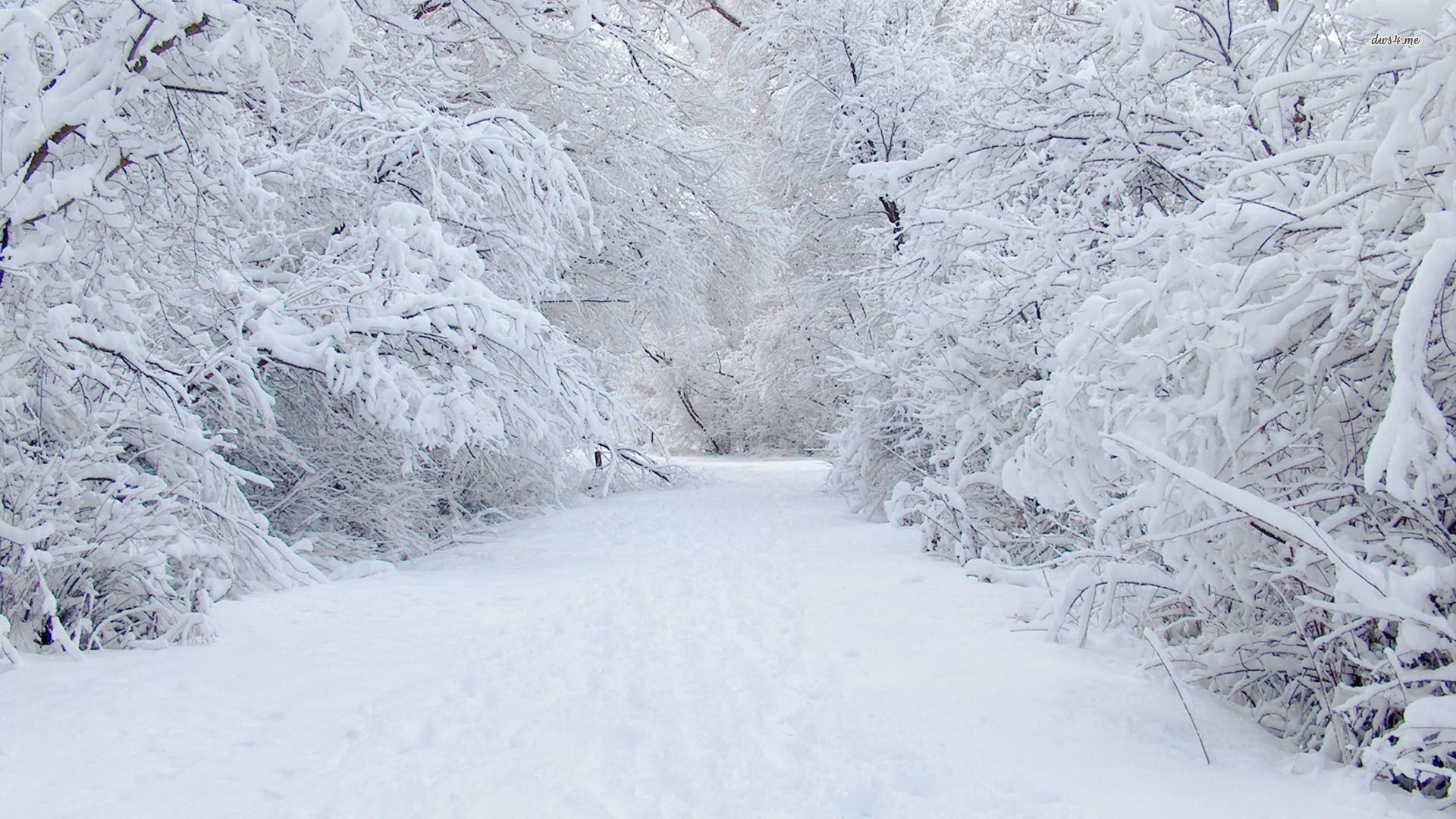 Been Missing the Snow? It's Coming This Weekend